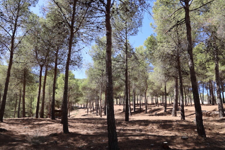 Qué visitar, ver y hacer en Purchena, Almería. - ANDORREANDO POR EL MUNDO