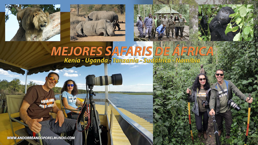 ¿Cuáles son los mejores safaris de África? - ANDORREANDO POR EL MUNDO