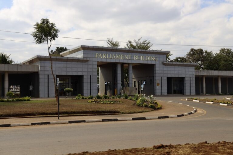 Qué visitar, ver y hacer en Lilongwe, Malawi. - ANDORREANDO POR EL MUNDO